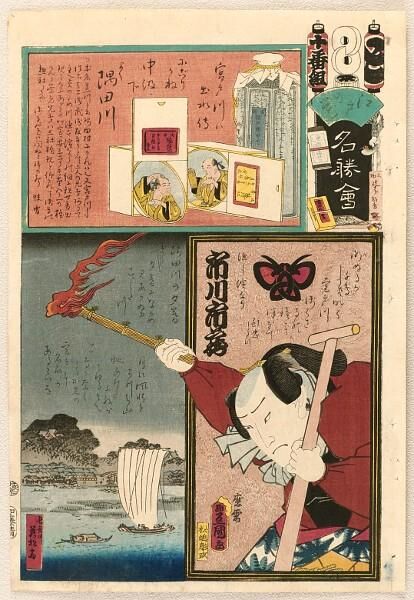 Flowers of Edo – Edo no Hana Meisho-e - Woodblock Prints